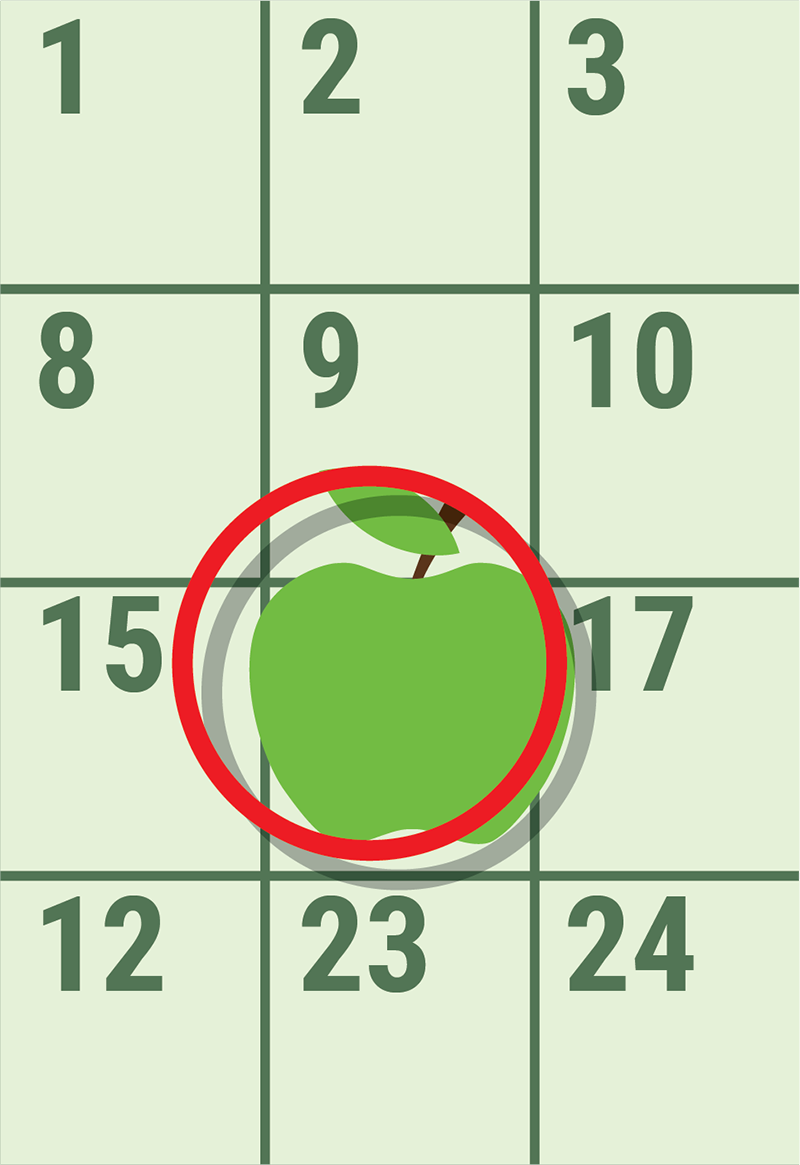 2026 VCD Purposes - Target Learning